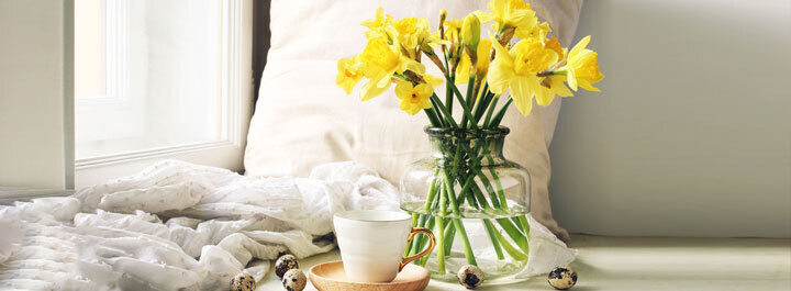 Lettings & property management for landlords | LetCo